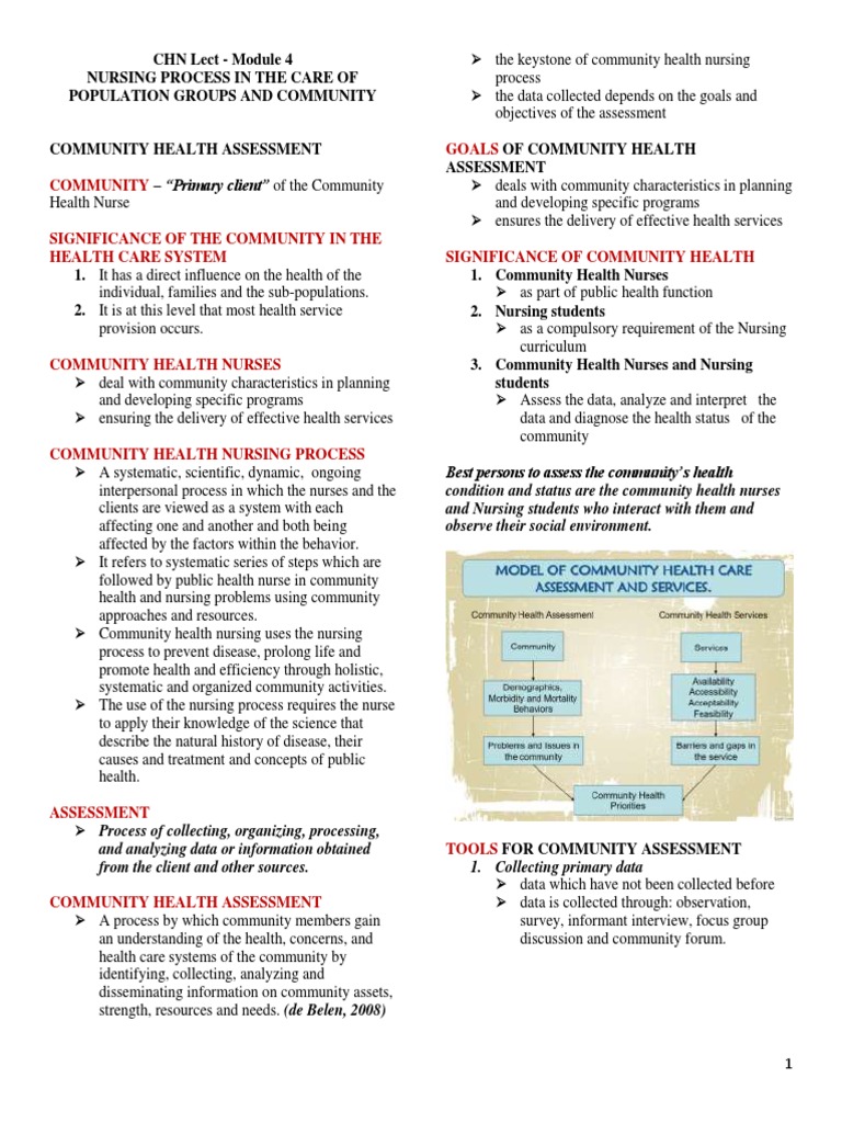 Community Health Nursing Process | PDF | Evaluation | Nursing