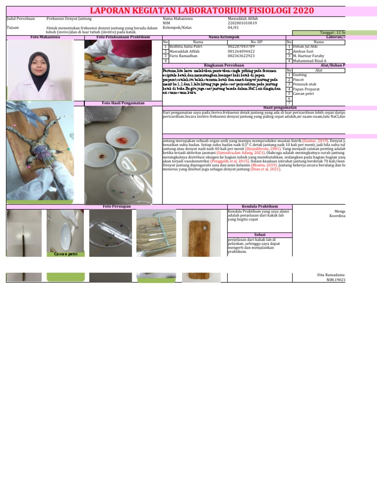 Laporan Fisiologi Prak.2 (Fifa) | PDF