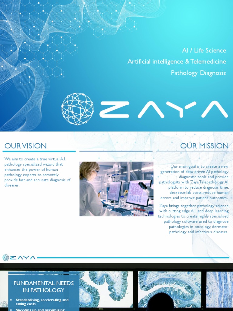 Zaya Ai Pitch Deck Startup Download Free Pdf Artificial