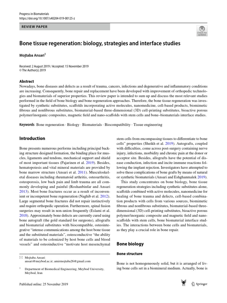 Bone Regenereation | PDF | Bone | Tissue Engineering