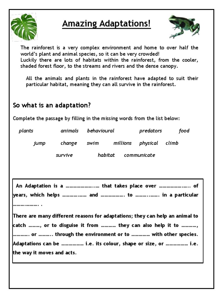 Rainforest Animal and Plant Adaptations | PDF | Rainforest | Canopy ...