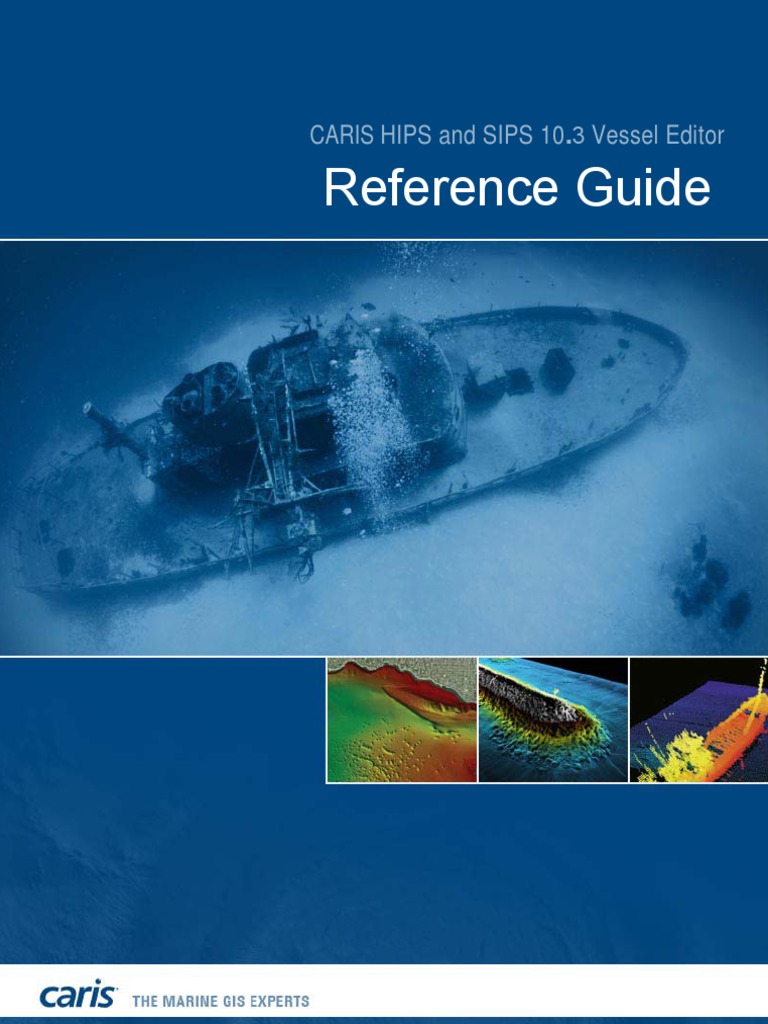 Caris Hips and Sips Vessel Editor | PDF | Cursor (User Interface ...