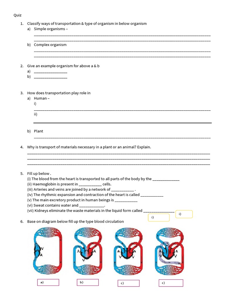 Quiz 1 Form 3 Science | PDF | Blood | Heart