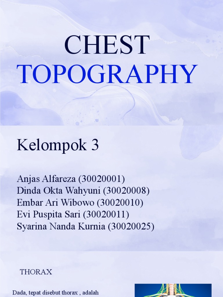 Chest Topography (Kel 3) | PDF