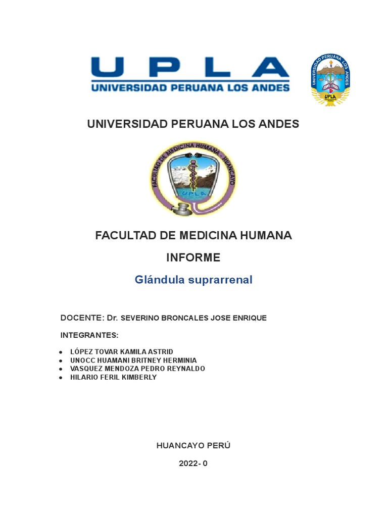 ABP Glandula Suprarrenal GRUPO N°1 | PDF | Hormona adrenocorticotrópica | Cortisol