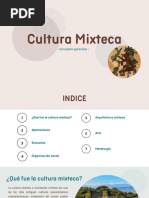 Actividades Económicas de los Mixtecos | PDF | Agricultura