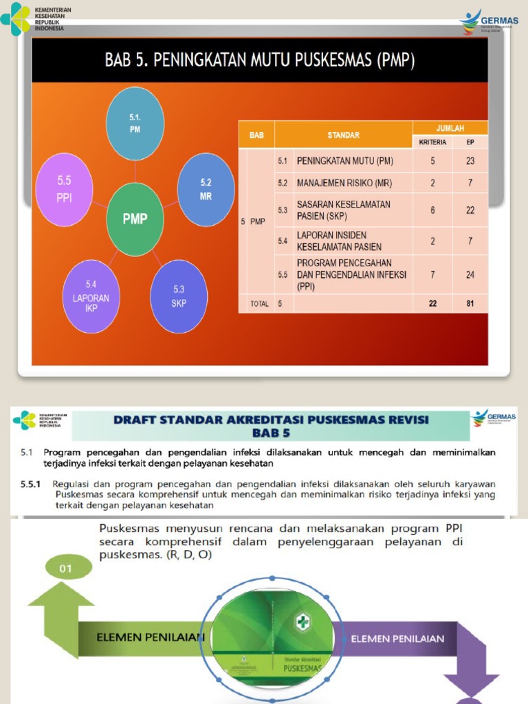Bab 5 Ppi Puskesmas | PDF