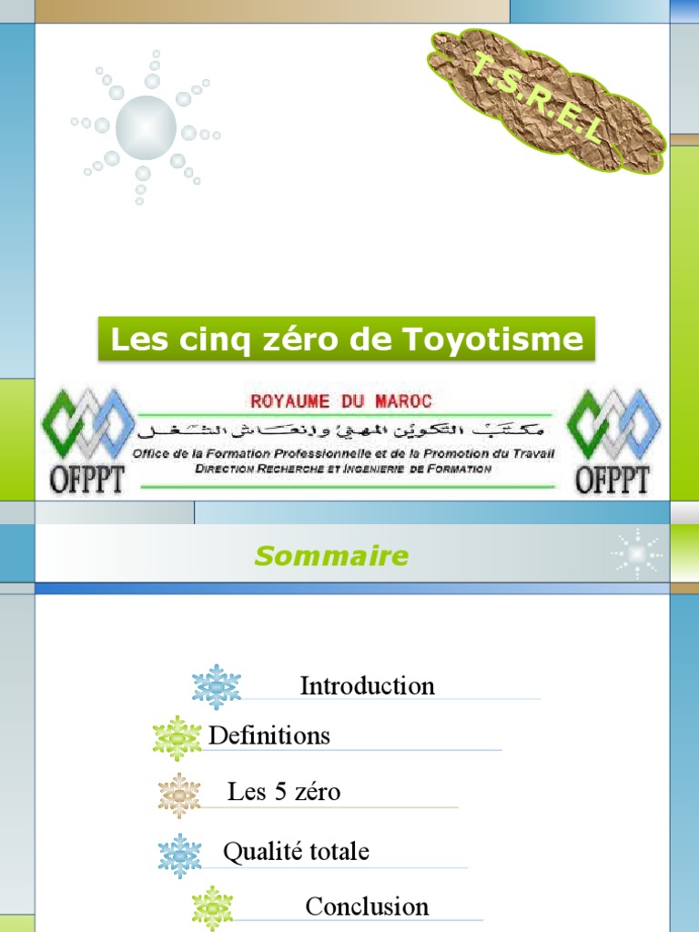 Les 5 Zéros du Toyotisme | PDF