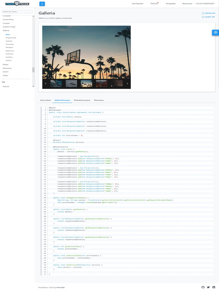 SFDC Galleria Component Overview | PDF | Information Technology ...