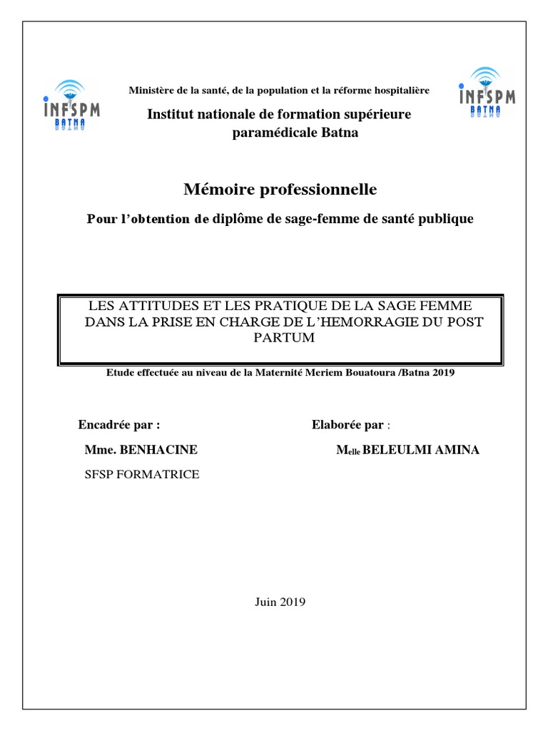 Mémoire Final 2019 | PDF | Post-partum | Accouchement