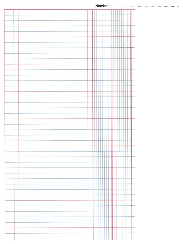 Hoja de Rayado de Libro Diario | PDF