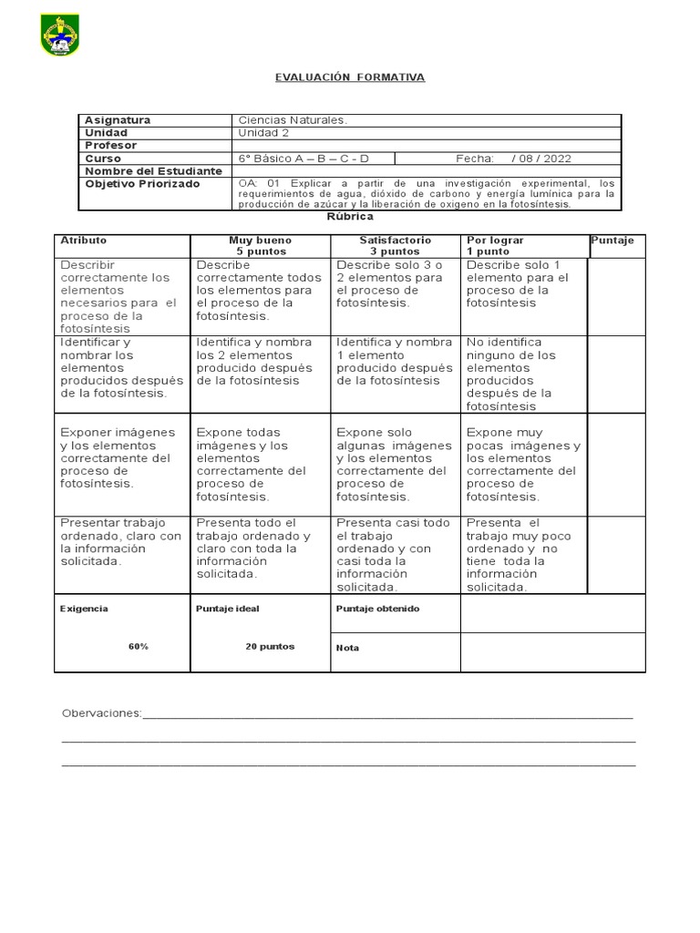 Rubrica 6to Ciencias | PDF | Fotosíntesis | Naturaleza