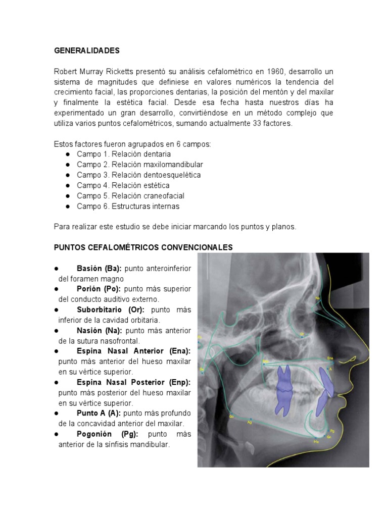 Ricketts Puntos y Planos | PDF | Anatomía humana | Cabeza y cuello humanos