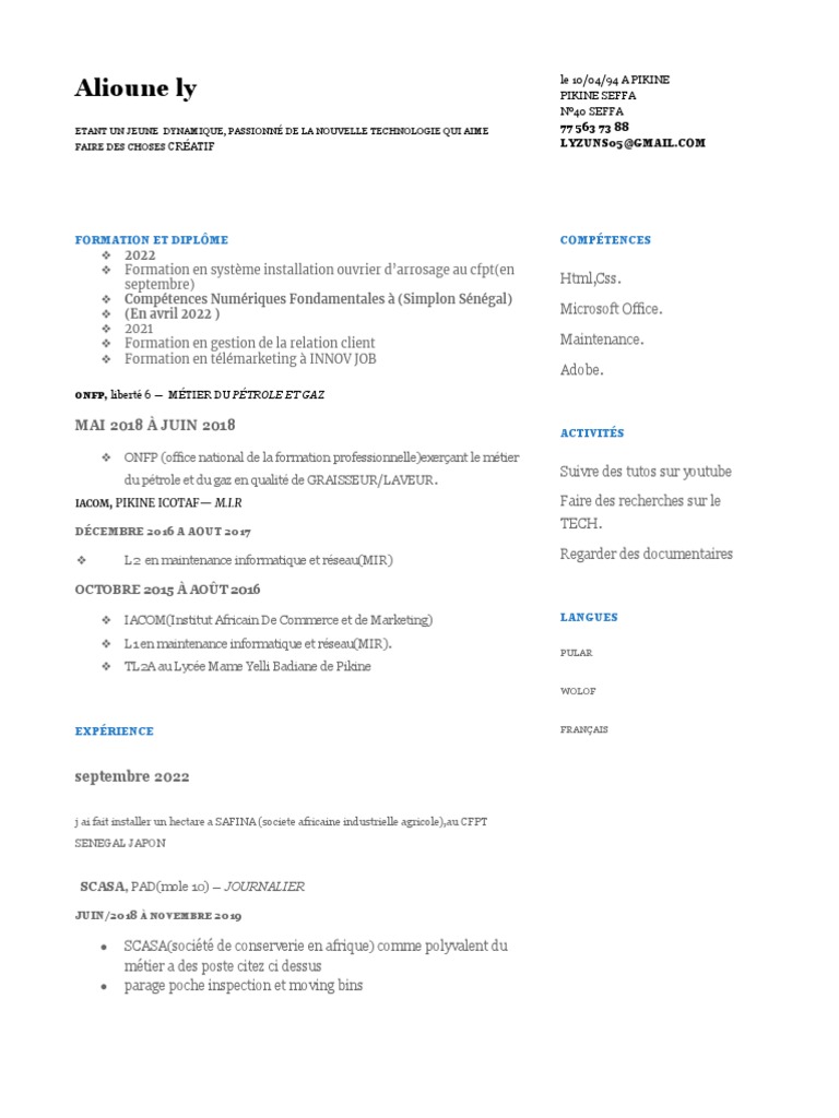 CV Ali PDF | PDF | Économie