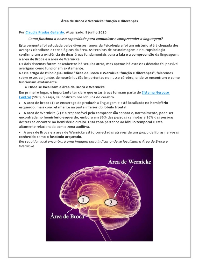 Funções da Área de Broca e Wernicke | PDF | Neuropsicologia | Cérebro