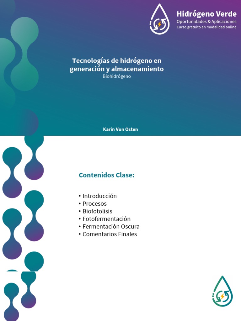 BIOHIDRÓGENO | PDF | Fotosíntesis | Ciencias fisicas