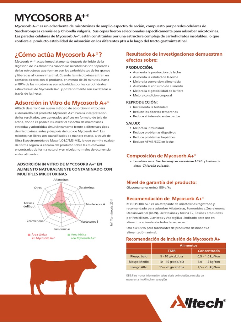 Flyer Mycosorb A+ Leche | PDF | Micotoxinas | Comida y bebida