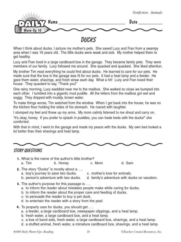 Reading Comprehension - Ducks | PDF
