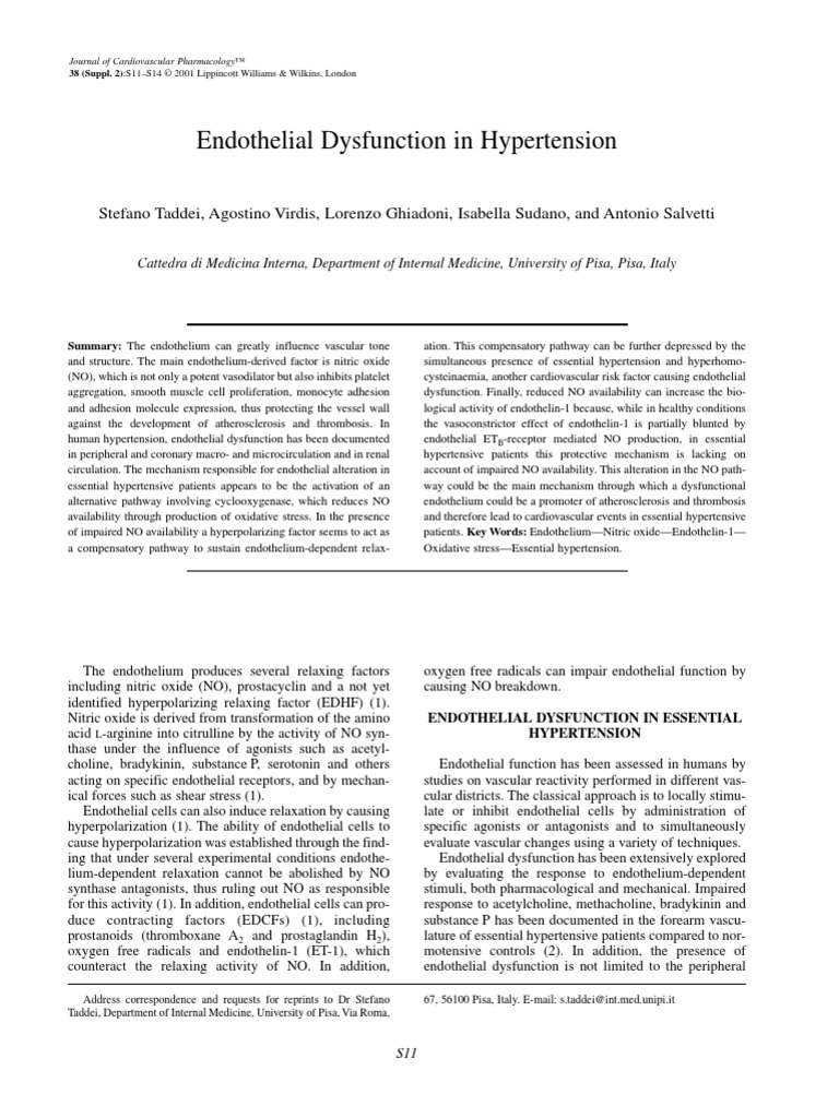Endothelial Dysfunction in Hypertension.4 | PDF | Endothelium ...