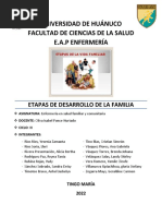 Teoría de Desarrollo de Evelyn Duvall | PDF | Familia | Vejez