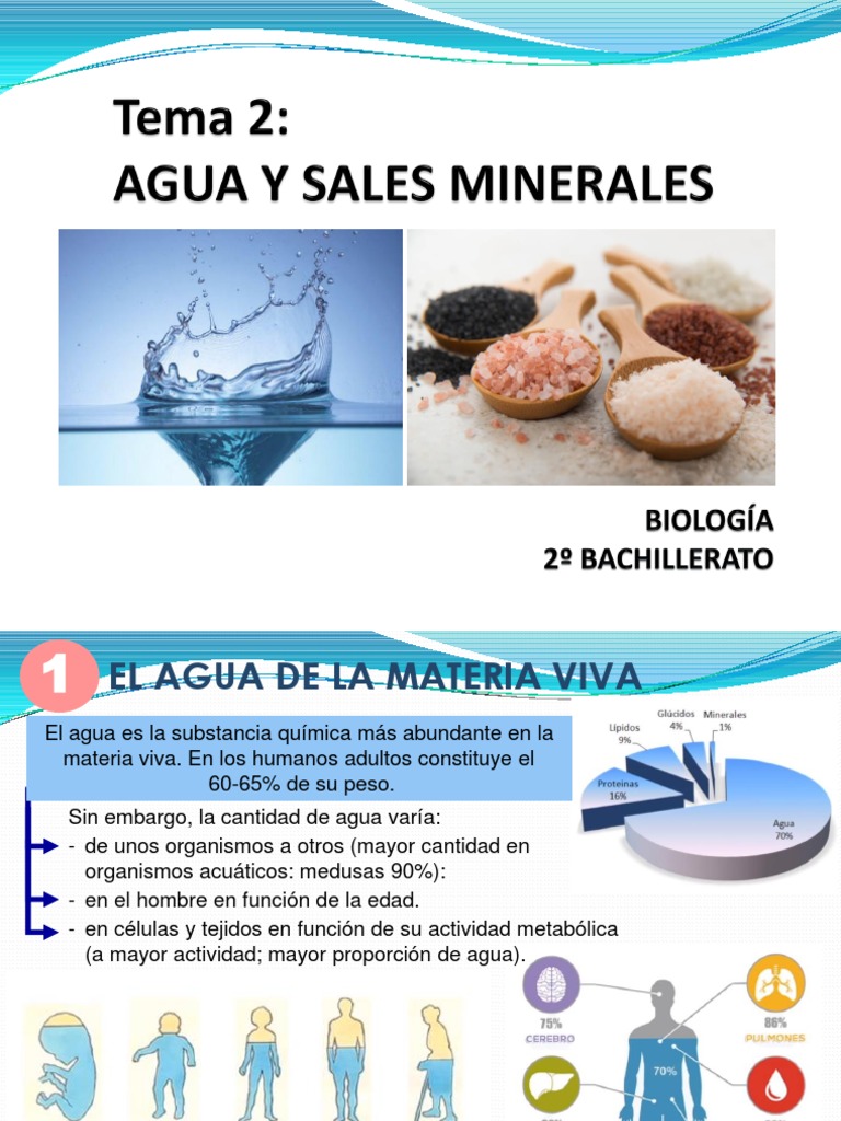 Propiedades y funciones del agua en la vida | PDF | Coloide ...