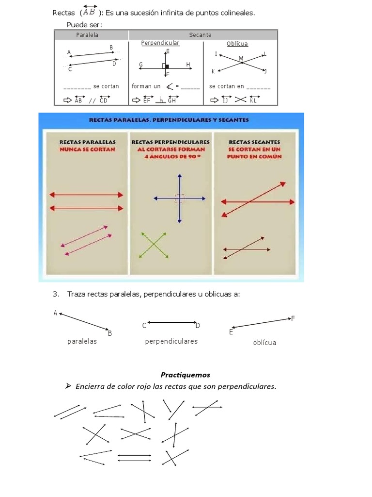 Clases de Rectas y Segmentos | PDF | Geometría | Geometría Elemental