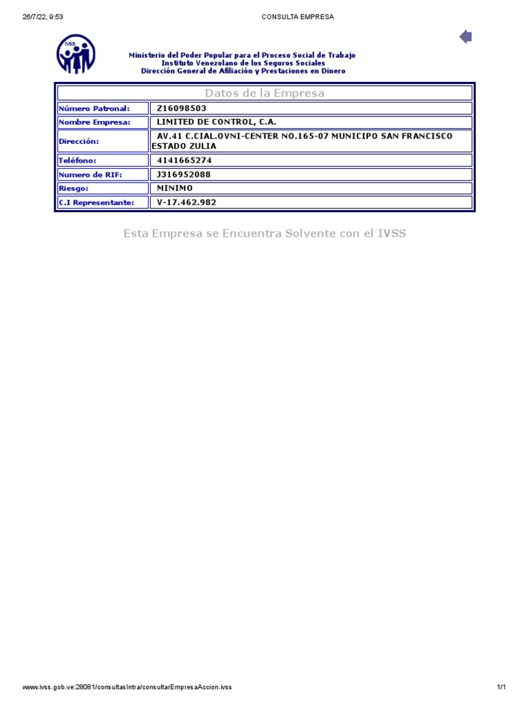 SOlvencia Ivss | PDF