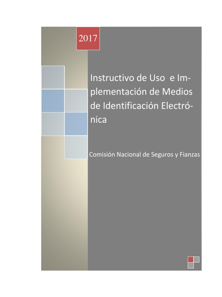 Instructivo de Uso e Implementación de Medios de Identificación | PDF | Archivo de computadora ...