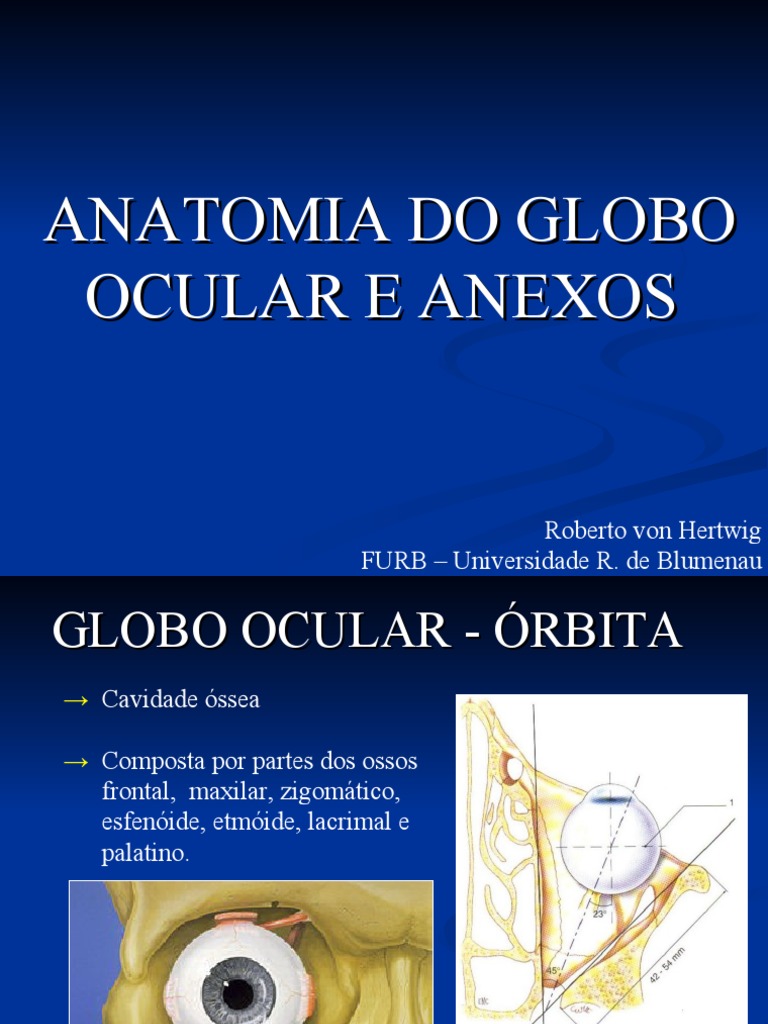 Anatomia Do Globo Ocular e Anexos | PDF