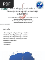 ESÒFAGO (Anatomía, Embriología, Histología y Fisiología) | PDF ...