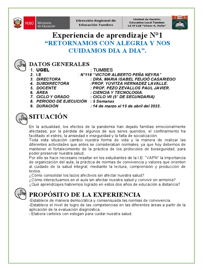 Experiencia de Aprendizaje 1 5to Año | PDF | Aprendizaje | Cognición