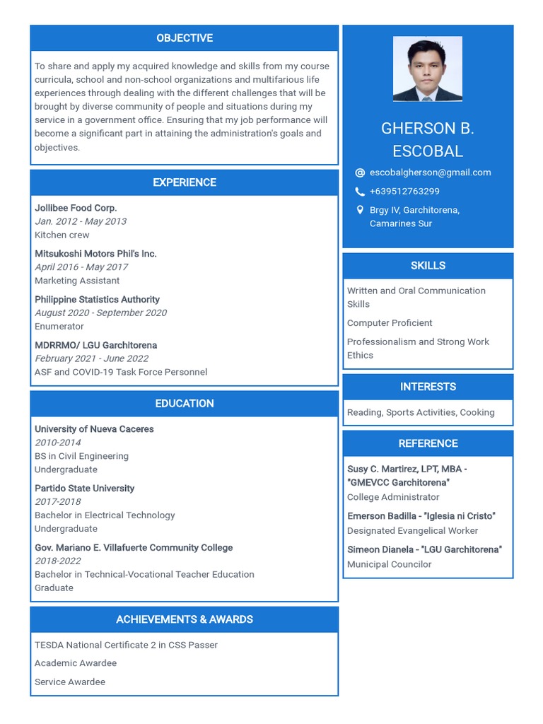CV For LGU Application | PDF