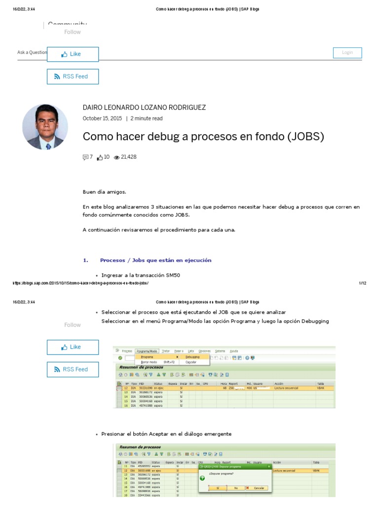 Como Hacer Debug A Procesos en Fondo (JOBS) - SAP Blogs | PDF | Tecnologías de la información ...