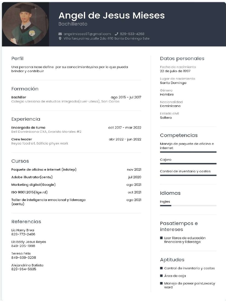 Currículum Angel Mieses | PDF