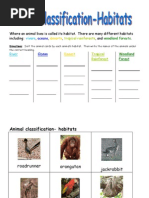 Animal Classification Sort | PDF
