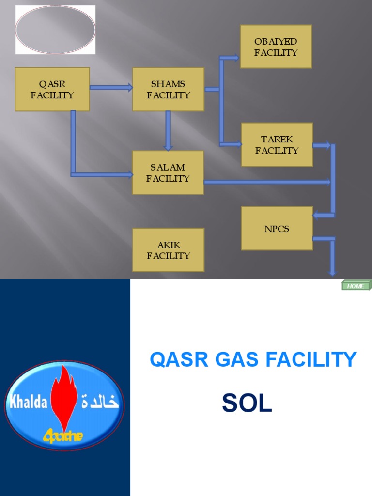 Gas Plants | PDF | Natural Gas | Phases Of Matter