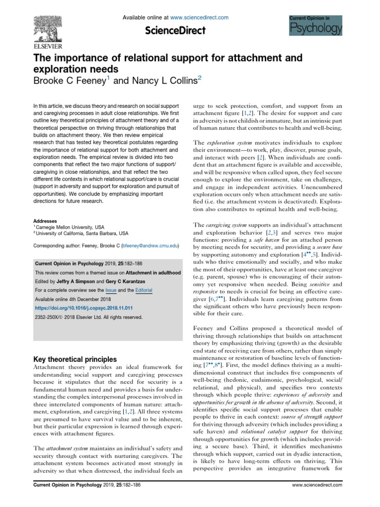 2019 Feeney The Importance of Relational Support | PDF | Attachment ...