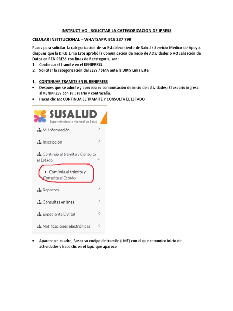 Instructivo para Solicitar Categoria de IPRESS | PDF
