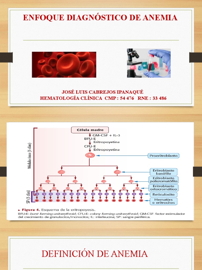 1 - Enfoque Diagnostico Anemias e Interpretacion de Hemograma | PDF ...