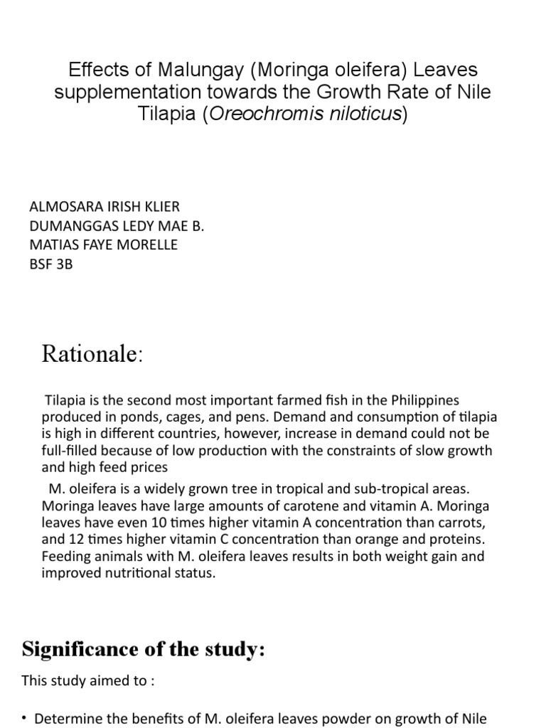 Research Ms. Bunal 1 | PDF | Natural Environment