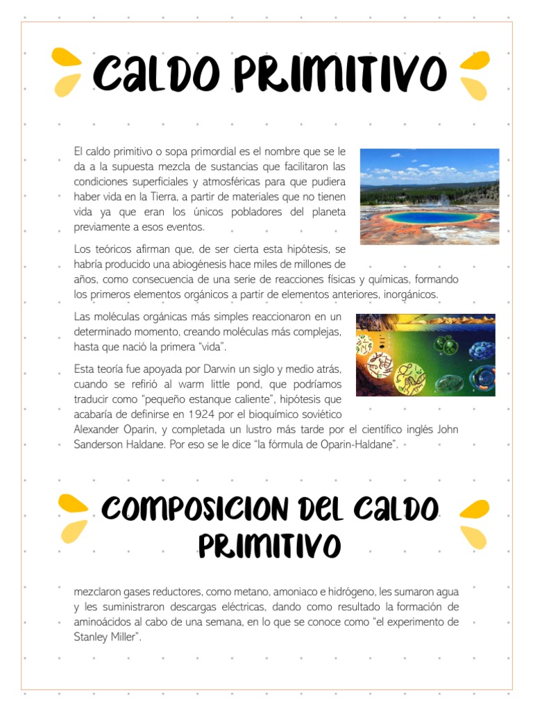 Caldo Primitivo | PDF