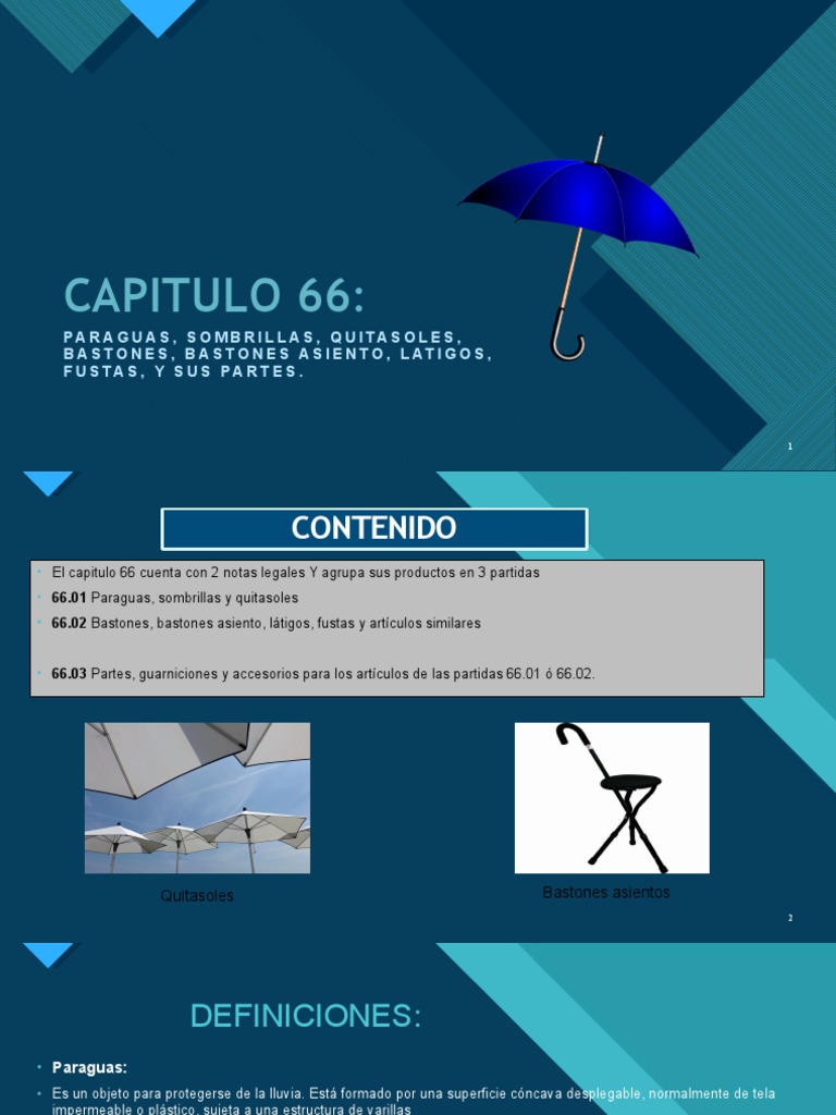 Capitulo 66 | PDF | Paraguas