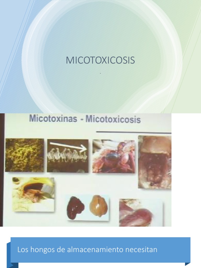 MICOTOXICOSIS | PDF | Micotoxinas | Especialidades Medicas