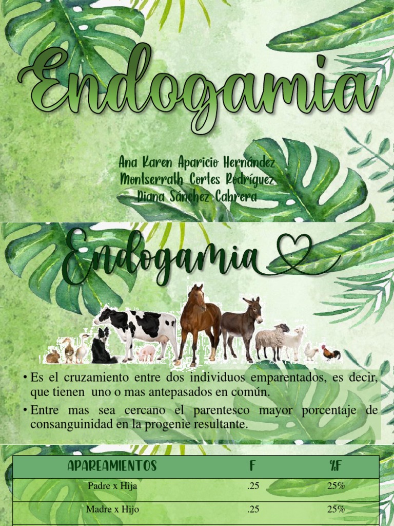 Endogamia y Consanguinidad en Bovinos | PDF | Endogamia | Evolución ...