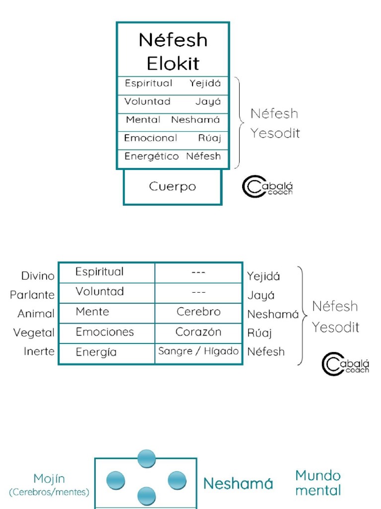 Nefesh Elokit y Yesodit | PDF