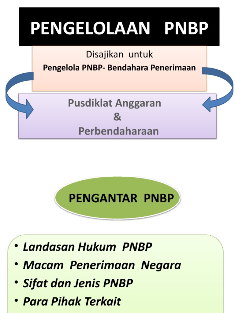 Pengelolaan PNBP | PDF
