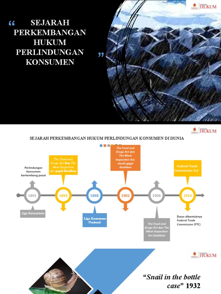 Hukum Perlindungan Konsumen | PDF