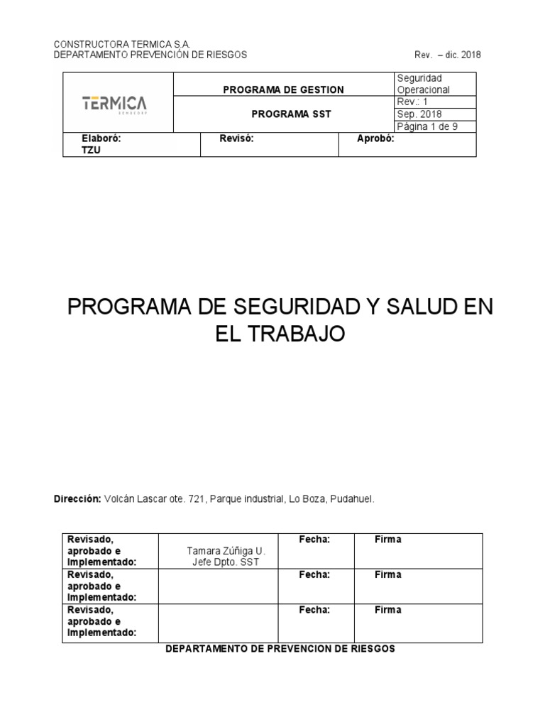 SST V1 | PDF | Seguridad y salud ocupacional | Riesgo