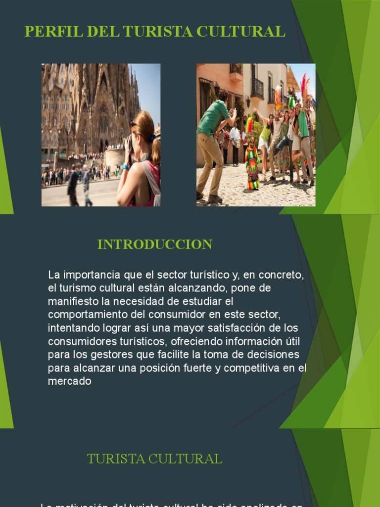 Perfil Del Turista Cultural (1) | PDF | Turismo | Blog