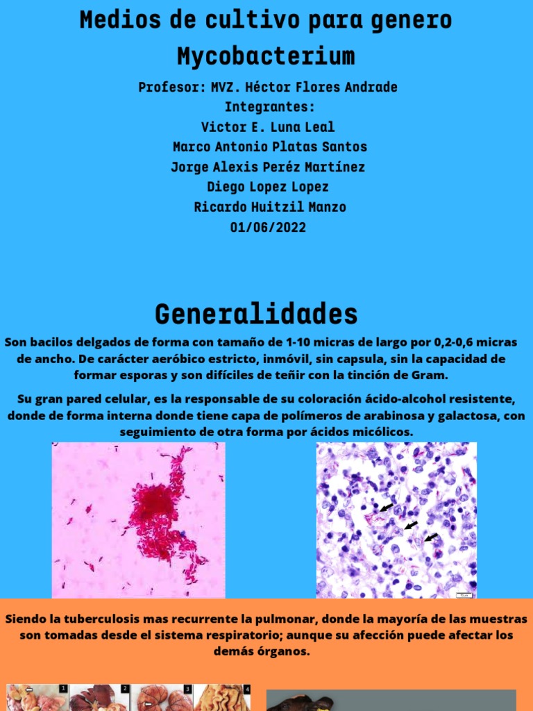 Mycobacterium | PDF | Mycobacterium | Tuberculosis